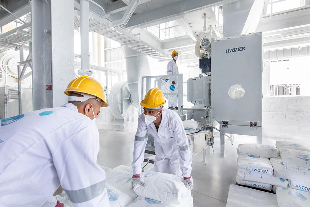The Role of Calcium Carbonate in Enhancing Efficiency and ...